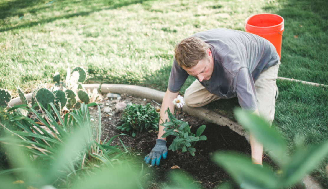 varsachilandscaping.com